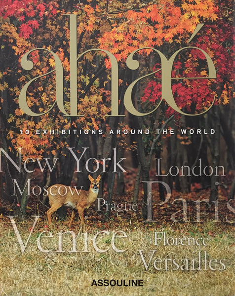 10 Exhibitions Around the World – Ahae